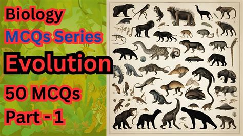 Evolution Excellence 50 Vital Mcqs For Neet Exam And Class 12 Biology