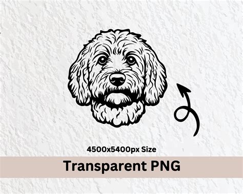 Cavapoo Dog Svg Bundle Silhouette Clipart Vector Graphics Png Svg