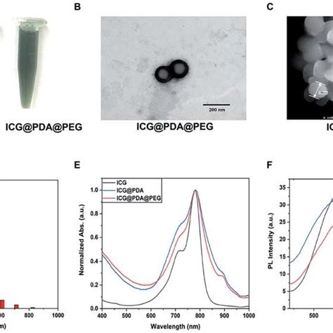 A Icg Icgpda Nps And Icgpdapeg Nps In Aqueous Dispersion Download Scientific Diagram