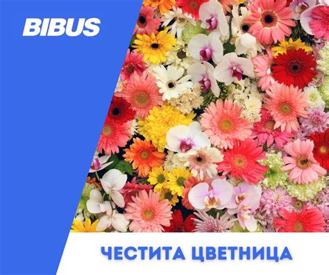 🌿 Честита Цветница Bibus Bulgaria Ood