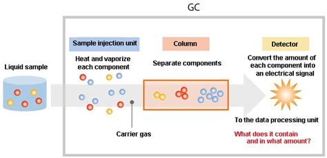 What Is Gas Chromatography Shimadzu Scientific Instruments