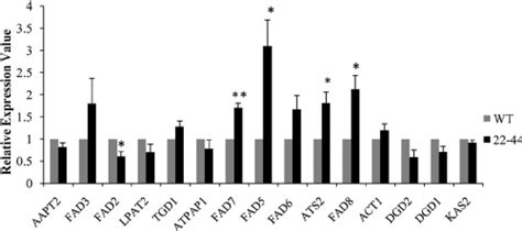 Real Time Quantitative Rt Pcr Validation Of The Microarray Data The