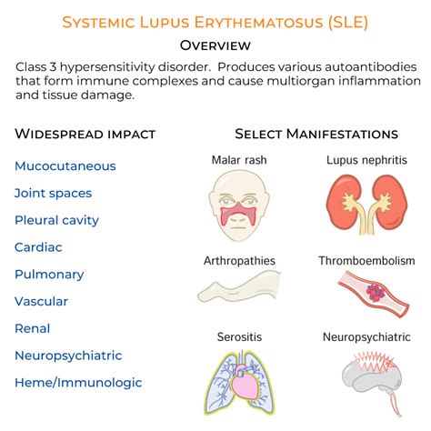 Systemic Lupus Erythematosus Causes Signs Symptoms