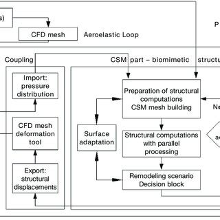 The Algorithm For Aeroelastic Analysis Coupled With The Biomimetic Download Scientific Diagram