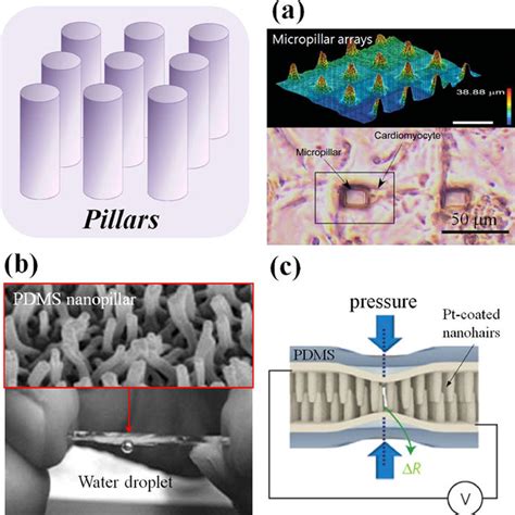 Schematic Drawings Of Nanocomposite And Nanostructured Pdms Fabrication