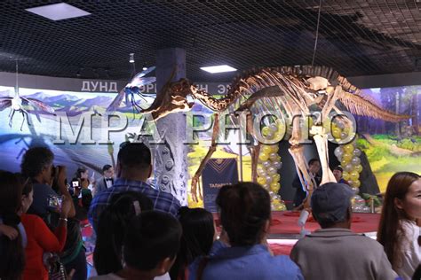 Үлэг гүрвэлийн төв музейд Эрт төрмөлийн эрин үзэсгэлэнгийн шинэ танхимын нээлт боллоо