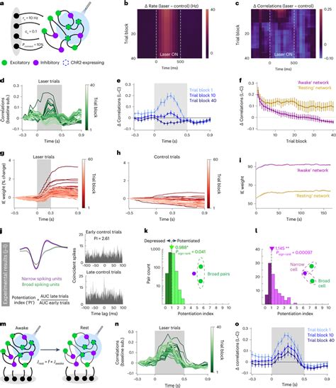 Model Simulations With I E Plasticity Replicate Experimental
