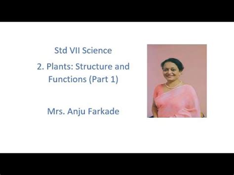 SCIENCE Chapter 2 Plants Structure And Function Part 1 Std 7 YouTube