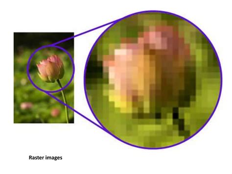 Raster Vs Vector Pptx Graphics Software Computer Software And Applications