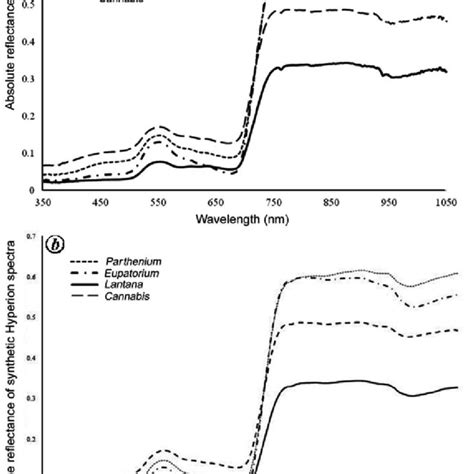 pdf identification of invasive plant species using field spectro