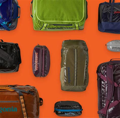 Patagonia выпустили коллекцию сумок из 10 миллионов переработанных ...