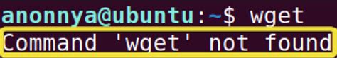 the “wget” command in linux [14 practical examples]