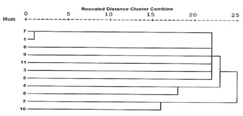 Phenogram Based On Average Linkage Cluster Analysis Of Frequency Of 11