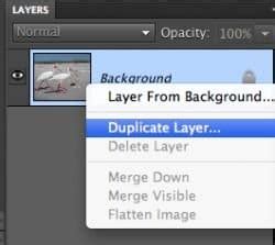 Page Curl Effect In Photoshop Elements FeltMagnet