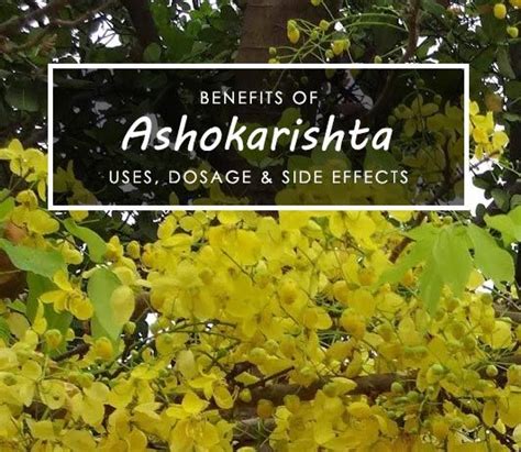Ashokarishtam: Powerful Benefits, Uses, Dosage and Side Effects, Price