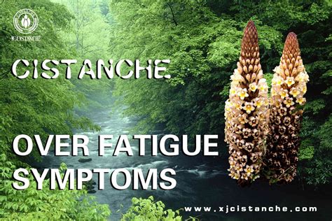 A Robust Framework For Driver Fatigue Detection From Eeg Signals Using