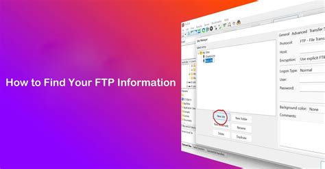 How To Find FTP Information A Comprehensive Guide MIMIFTAH