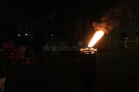 Close Up Torch And Fire In The Night Garden Stock Photo Image Of
