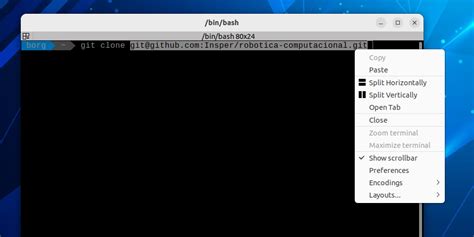 Configure O Seu Git Robótica Computacional Insper