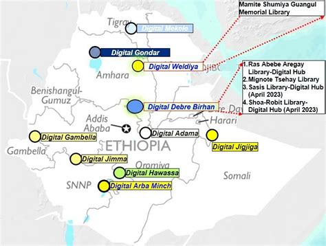 The Planned Expansion And Scaling Up Of The Library Digital Hub Model