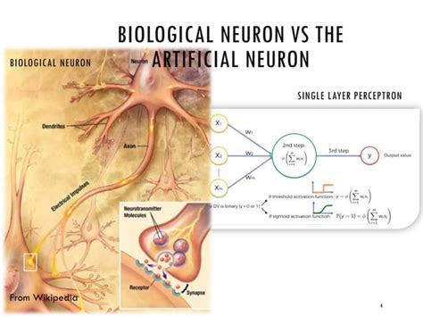 Single Layer Perceptron In Python Pdf