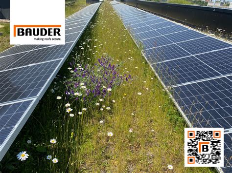 Enhance The Durability Of Your Blue Or Green Roof With Bauder Total Green Roof System Plus