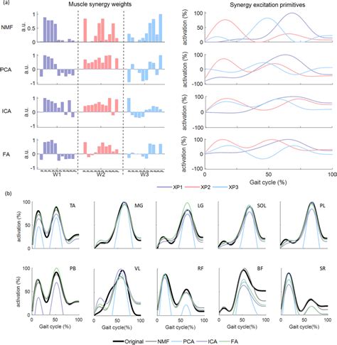 Reconstruction Of Muscle Activation Patterns With Three Muscle