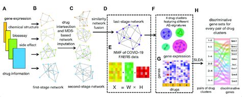 Workflow A Four Types Of Input Data Including Bioassay Chemical