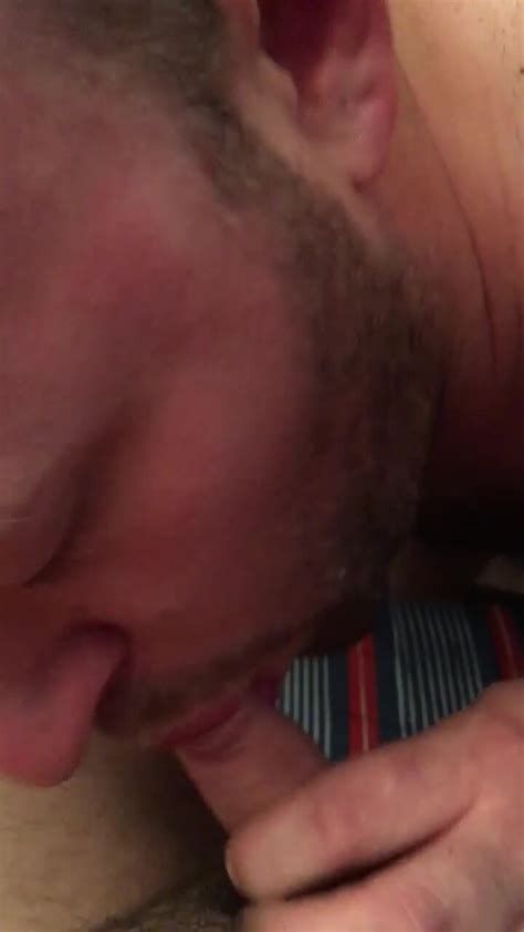 Sucking Bears ThisVid Com Sucking Bears ThisVid Com