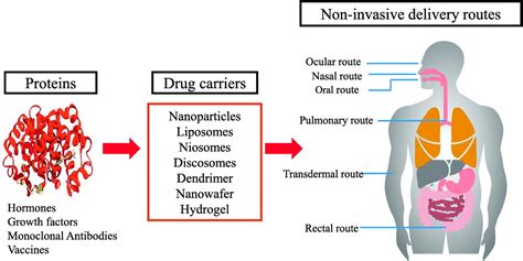 Computational And Structural Biotechnology Journal Recent