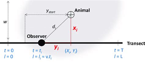 Principles Of The 2d Distance Sampling Framework 33 The Observer Is