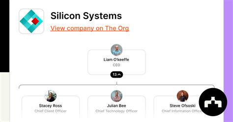 Silicon Systems The Org
