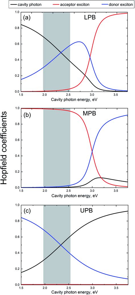 The Hopfield Coefficients Of The Lower A Middle B And Upper C Download Scientific