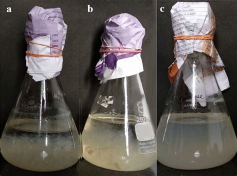 production of chitinase enzyme produced by fungi in chitin amended