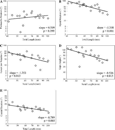 Angular Kinematic Variables Measured From High Speed Video Of Feeding