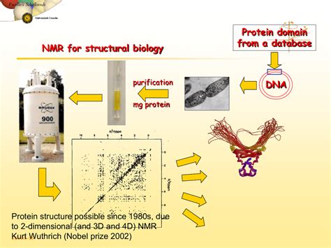 Nmr Spectroscopy Protein Structure At Kate Read Blog