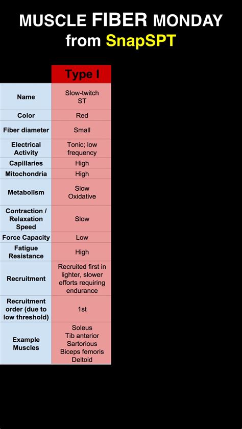 Muscle Fiber Types James McAfee PT DPT