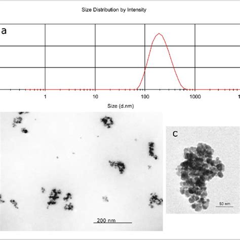 A Hydrodynamic Size Distribution Obtained By Dls B Tem Picture Of Download Scientific