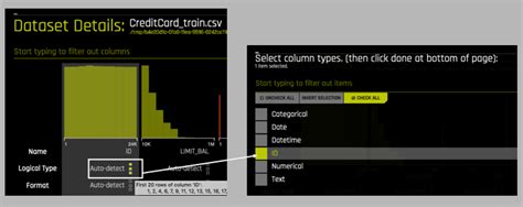 Dataset Details — Using Driverless Ai 1810 Documentation