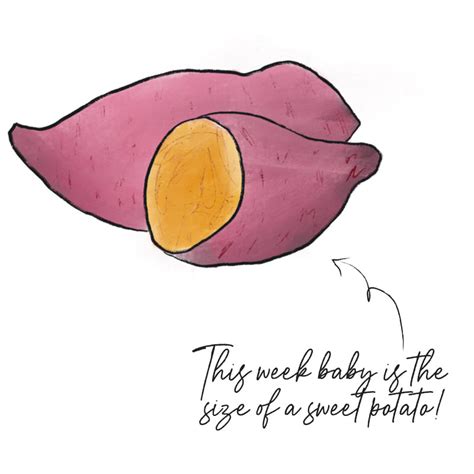 20 Weeks Pregnant Symptoms And What To Know Kindred Bravely
