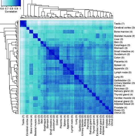 Hierarchical Clustering Of Human Tissues The Relationship Between The