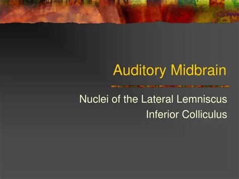 Ppt Auditory Midbrain Powerpoint Presentation Free Download Id3202429