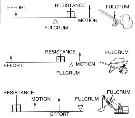 Examples Of First Second And Third Class Levers At Jose Lauber Blog