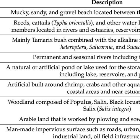 The Classification Key Used In The Present Study Download Table