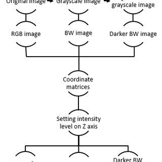 Image Processing Algorithm RGB Red Green Blue BW Black White