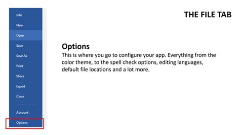 Ms Word Interface Pptx