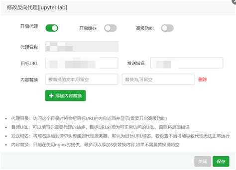 使用 nginx 反向代理将 jupyter lab 绑定到子域名 一个兆基