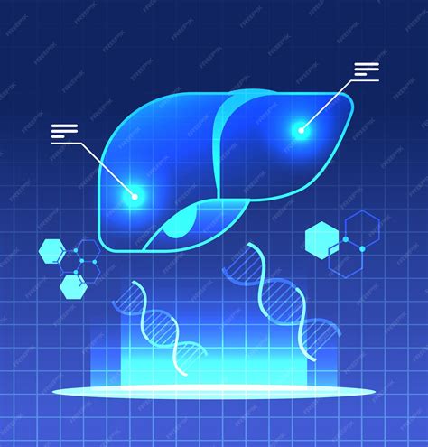 가상 해부학 간 구조 인체 내부 장기 해부학 의학 Vr 비전 헤드셋 혁신 메타 버스 개념 수직 벡터 일러스트 레이션 프리미엄 벡터