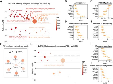 Functional Analyses Of The Differentially Expressed Genes Identified By