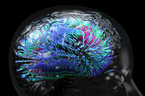 Potential Flaw Uncovered In Previous Autism Neuroscience Research